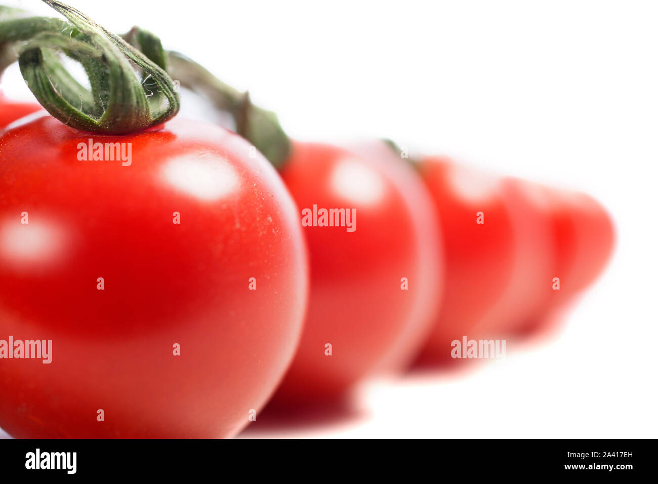Fresh ripe tomatoes on the vine isolated on white background Stock ...