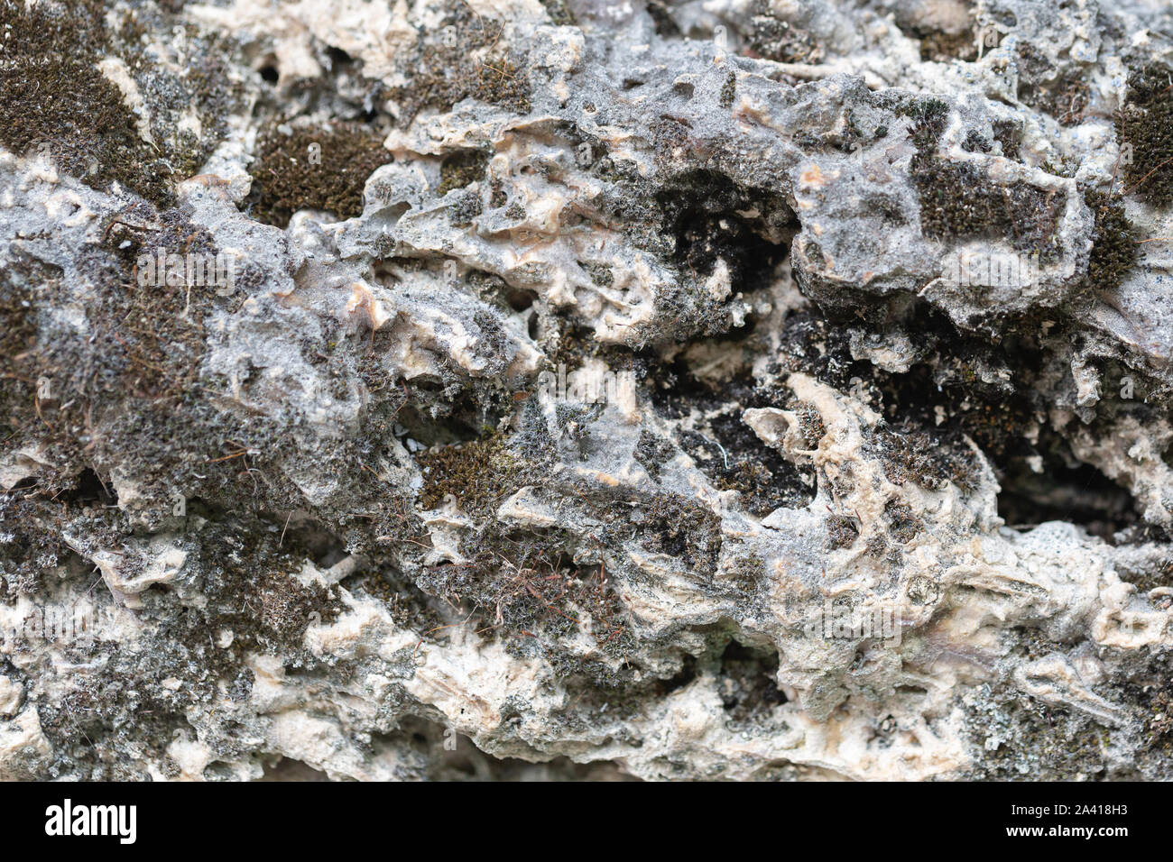 gray stone rock ornament for wallpaper and for background Stock Photo ...