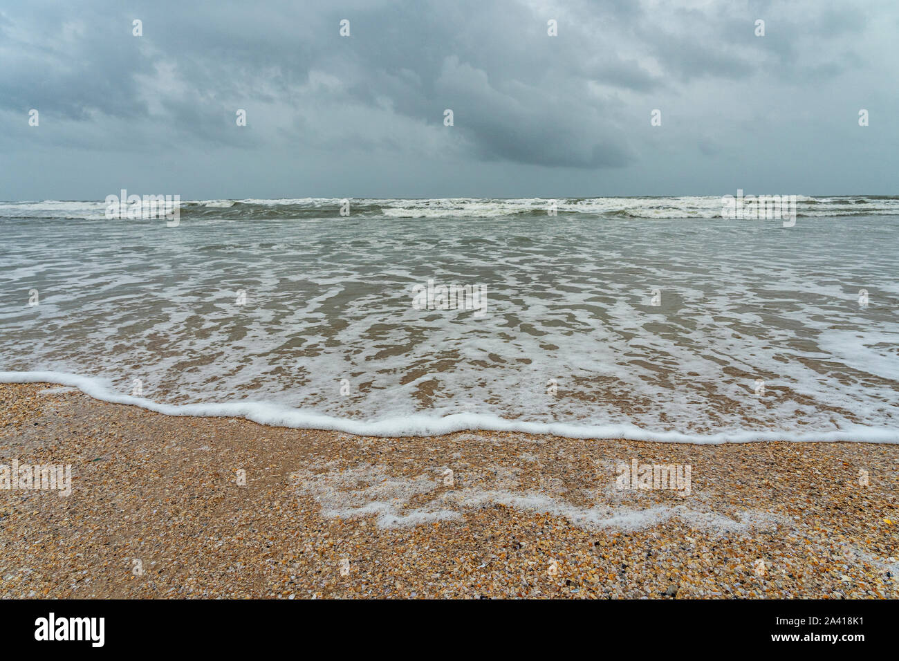 South Goa - Close-Up View to shells at cavelossim beach / India Stock ...