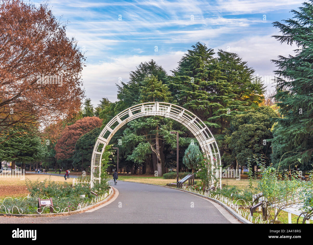 Arch perched rose pergola in Yoyogi Park, Tokyo Stock Photo - Alamy