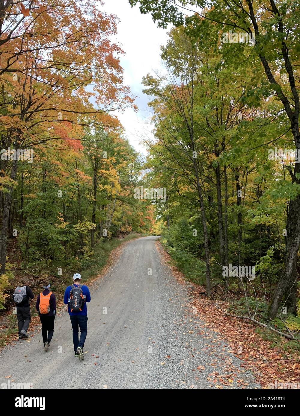 Robertson cliffs hi-res stock photography and images - Alamy