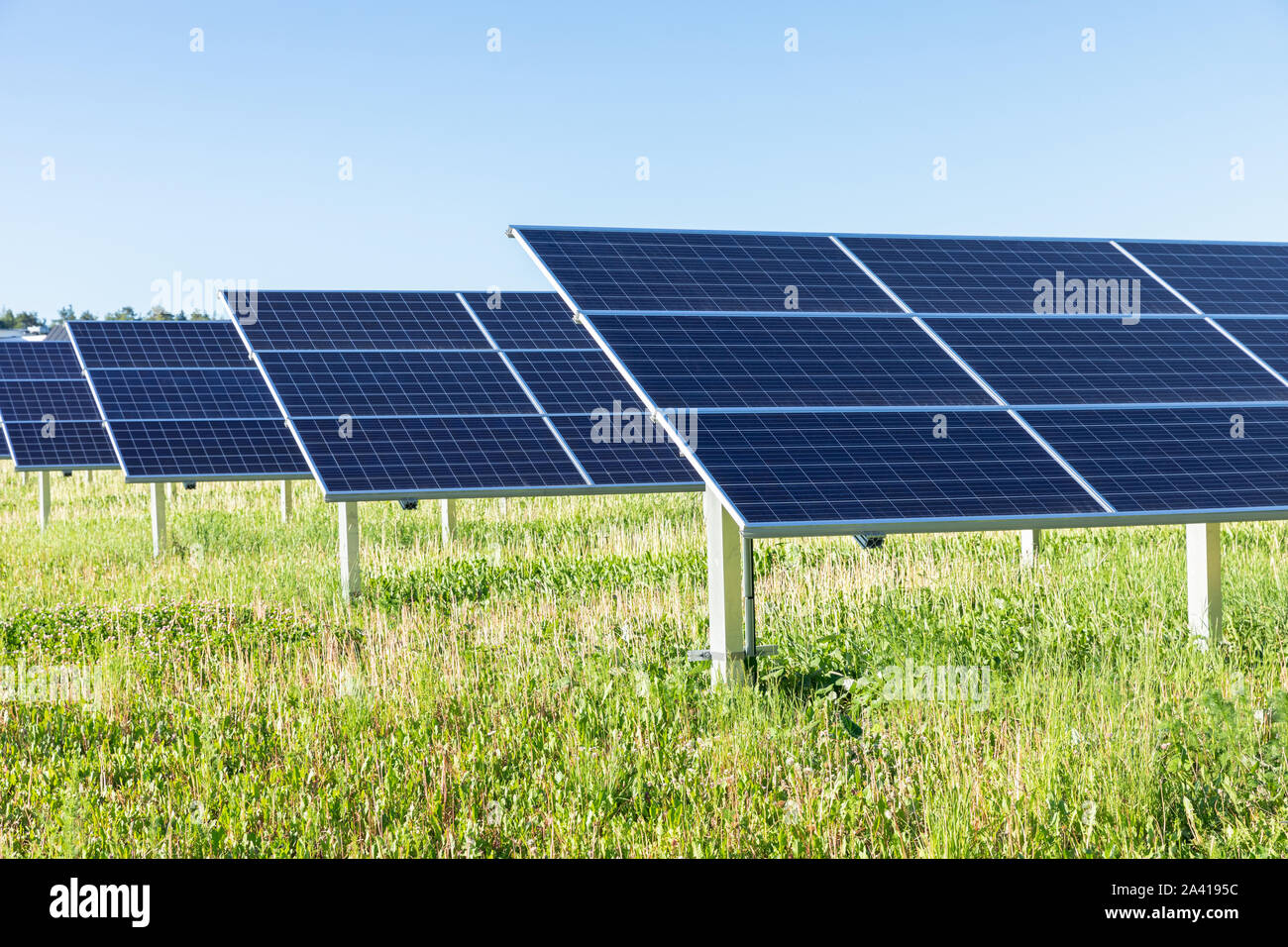Solar panels in a meadow at summertime Stock Photo - Alamy