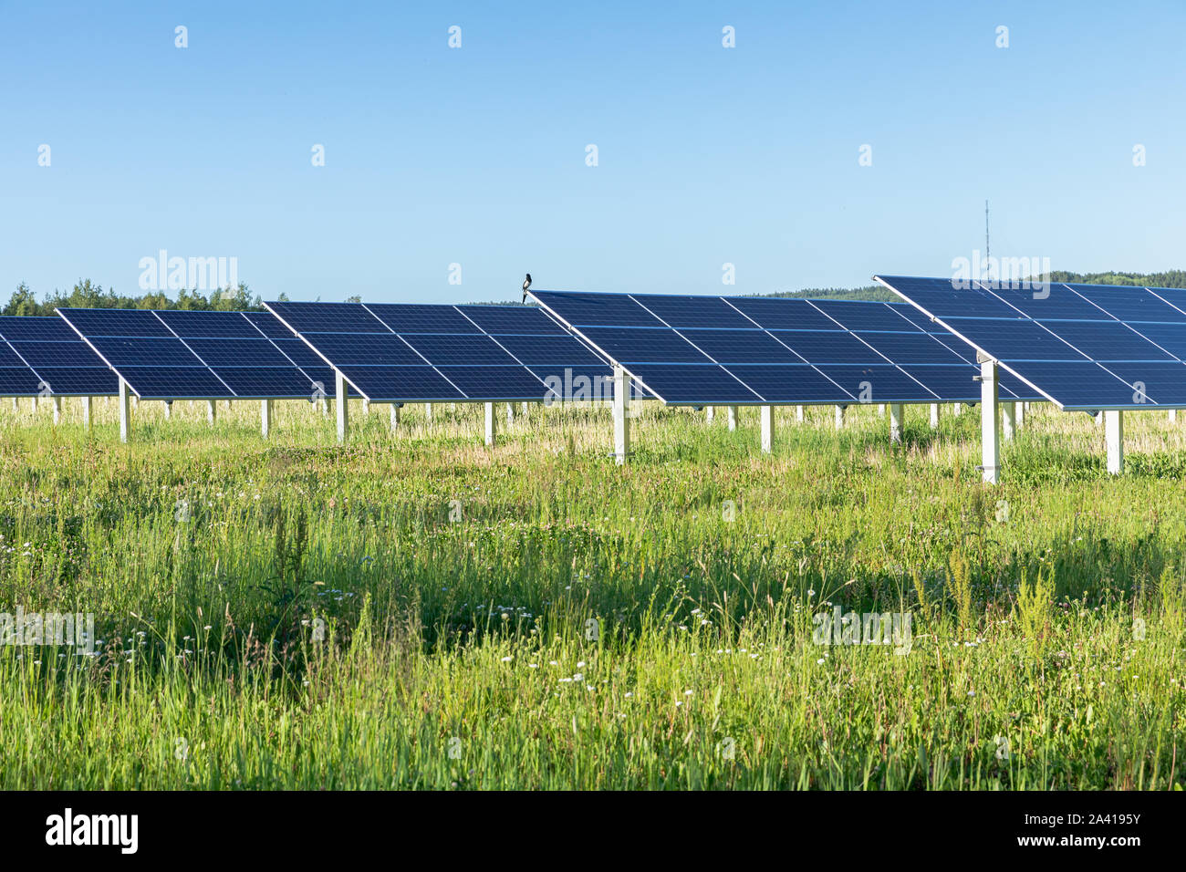 Solar panels in a meadow at summertime Stock Photo - Alamy