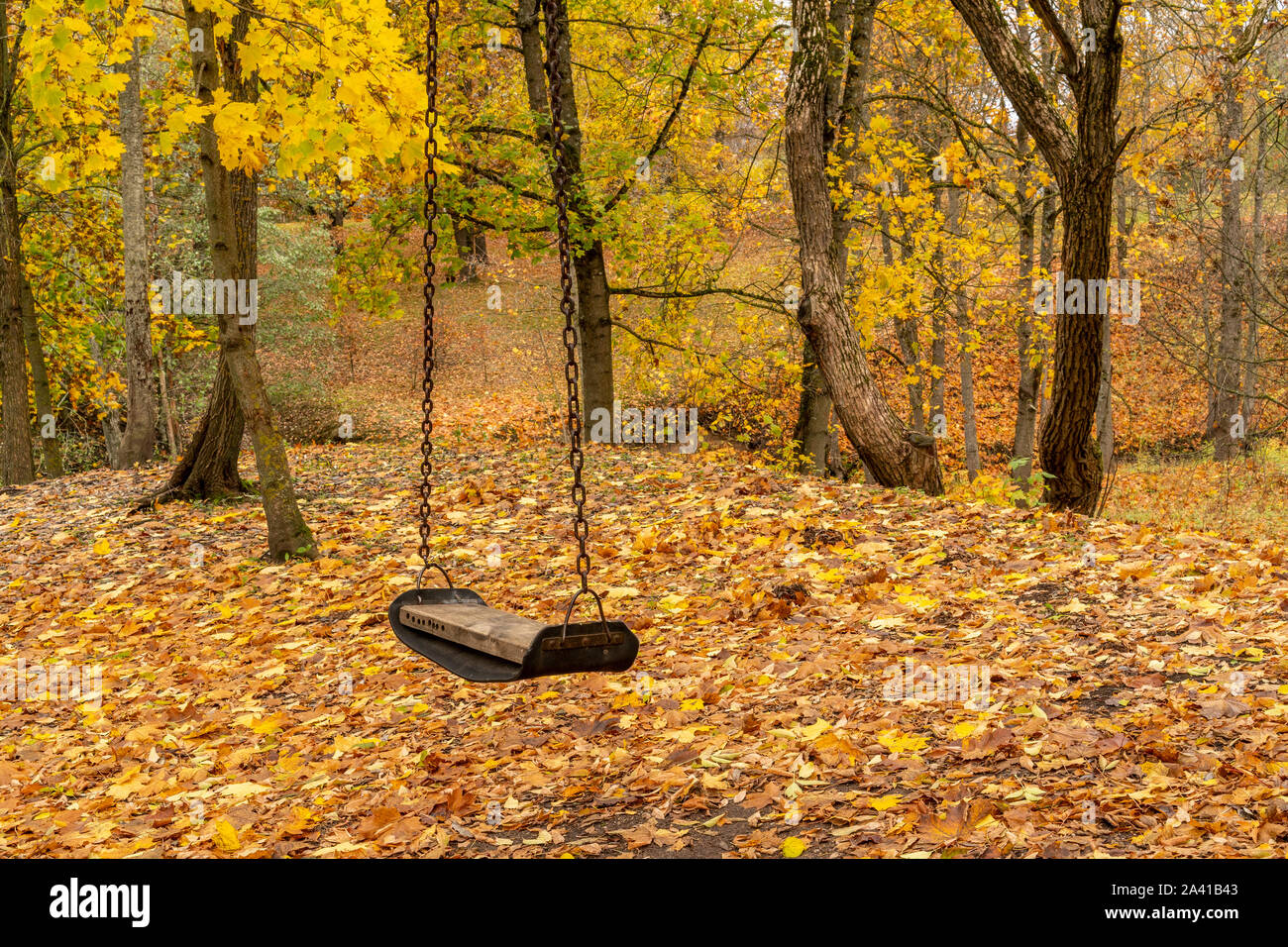 Fall in full swing hi-res stock photography and images - Alamy