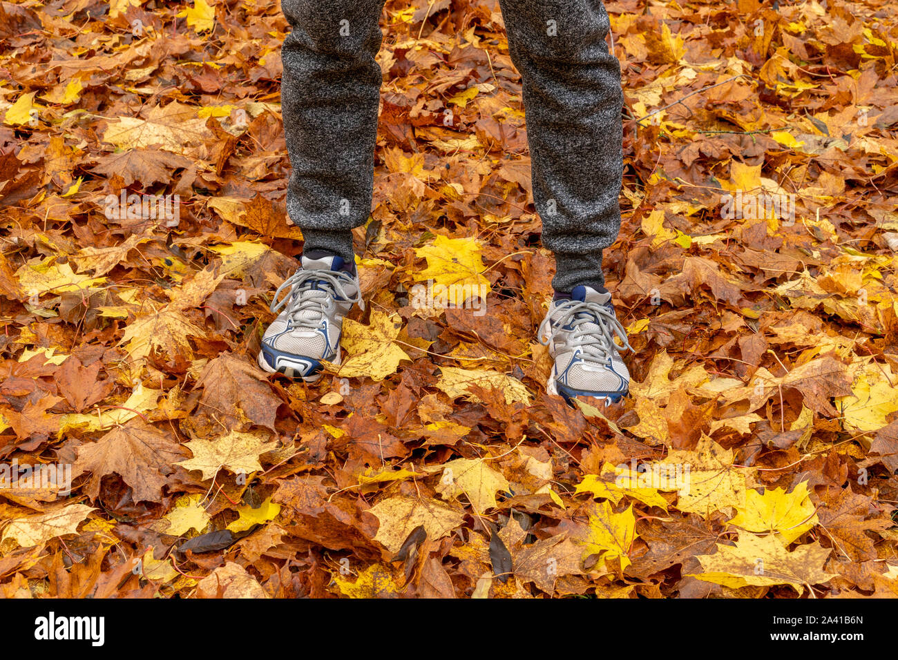 Feet in running shoes in the autumn leaves. Sport in autumnal forest ...