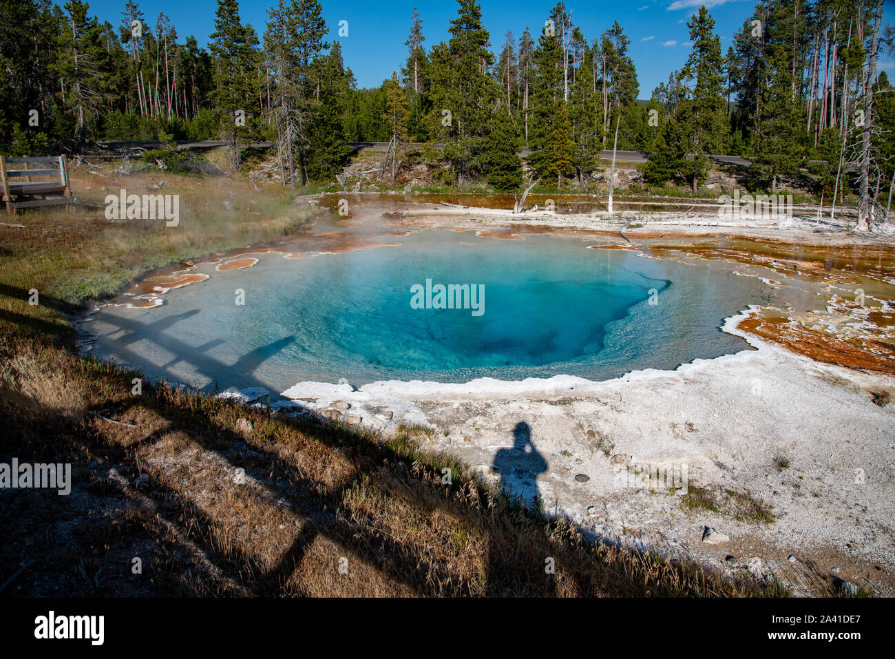 Silex hot spring in Yellowstone of vivid colors caused by thermophilic ...