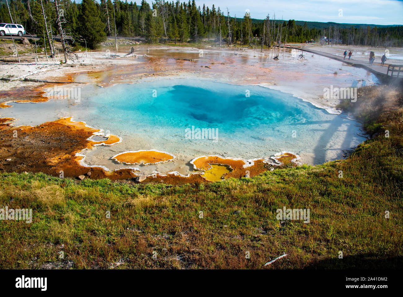 Silex hot spring in Yellowstone of vivid colors caused by thermophilic ...