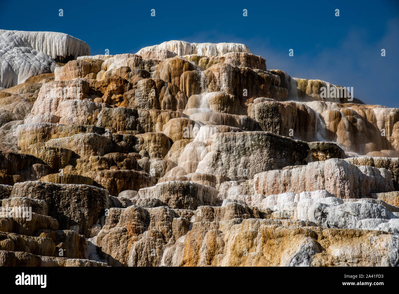 Minerva Terraces at the lower Mammoth Hot Springs in ...