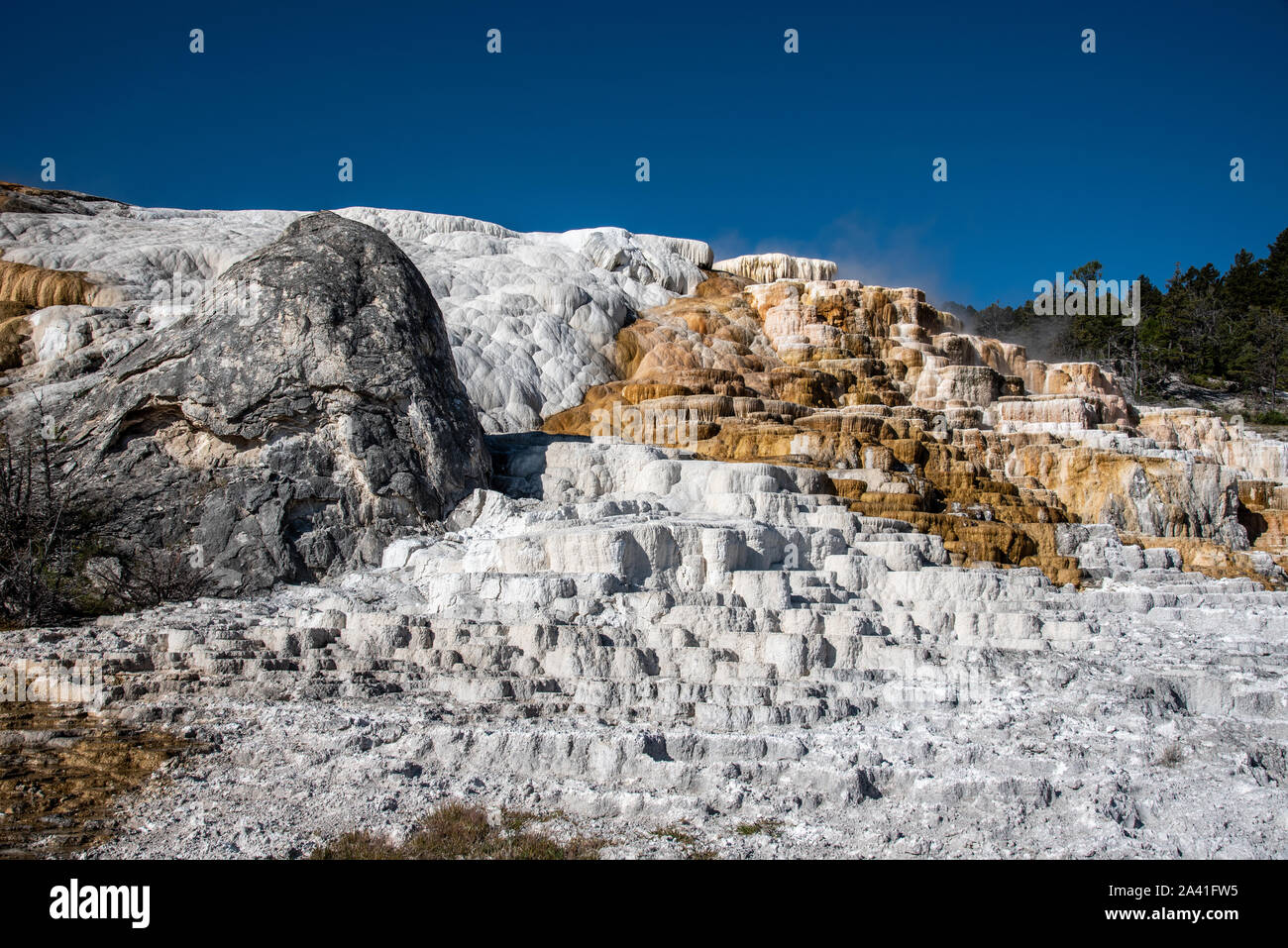 Minerva Terraces at the lower Mammoth Hot Springs in ...