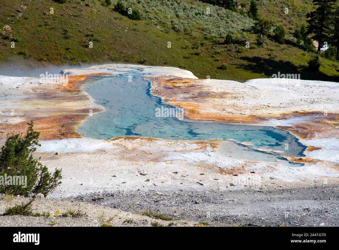 Steaming and colorful hot spring in Yellowstone of vivid colors caused ...