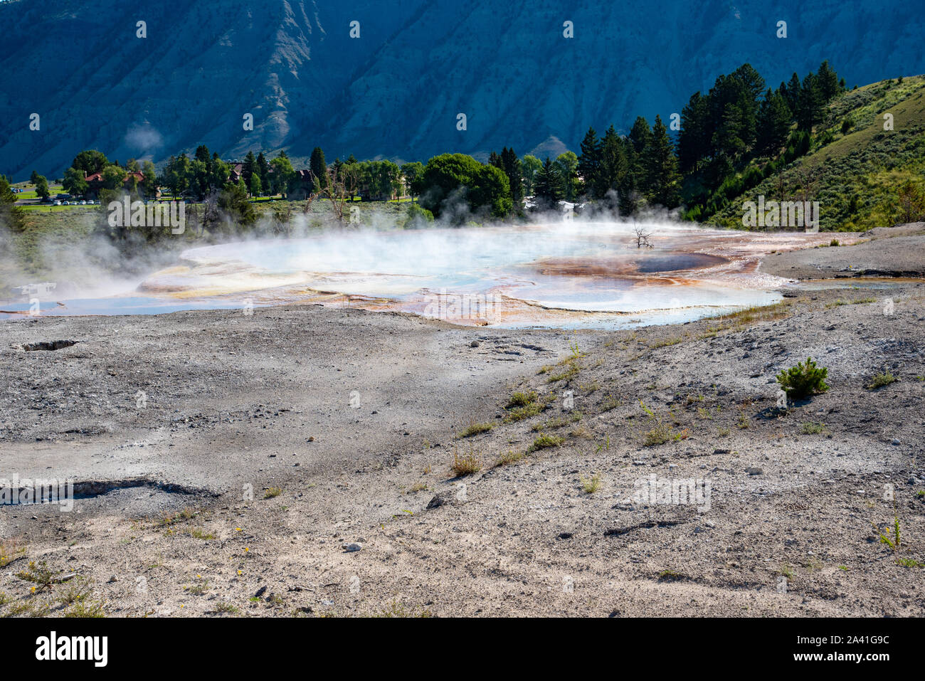 Steaming and colorful hot spring in Yellowstone of vivid colors caused ...