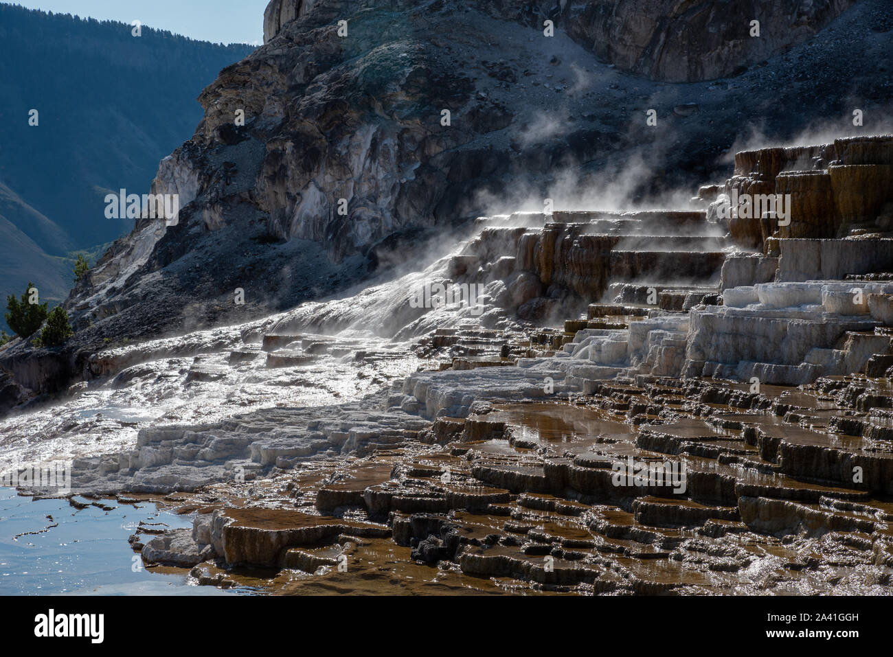 Minerva Terraces at the lower Mammoth Hot Springs in ...