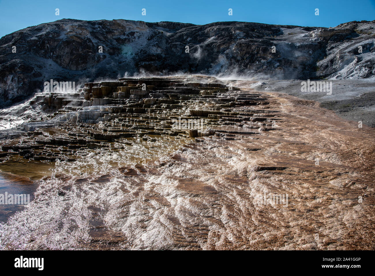 Minerva Terraces at the lower Mammoth Hot Springs in ...