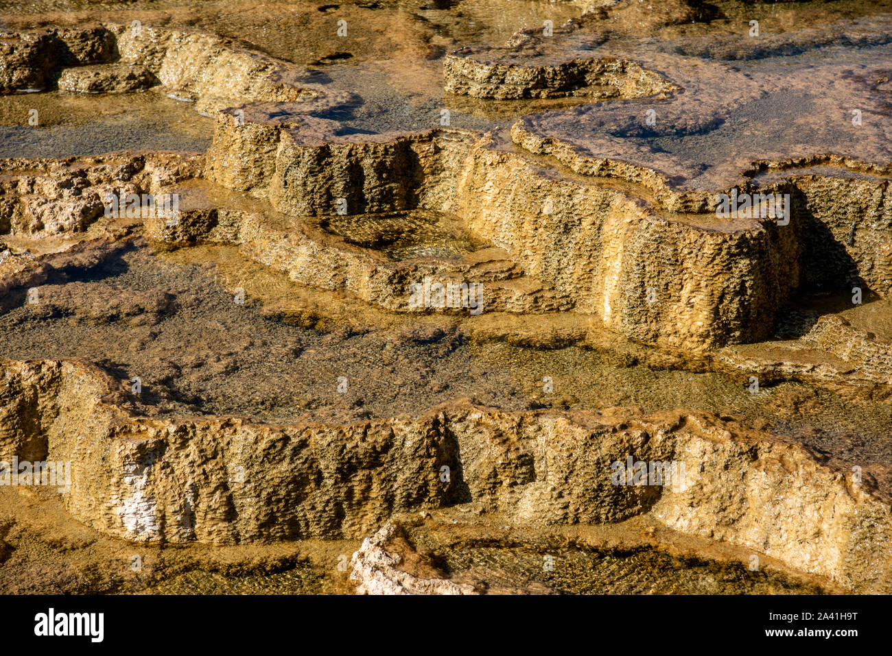 Minerva Terraces at the lower Mammoth Hot Springs in ...