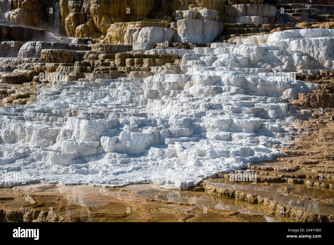 Minerva Terraces at the lower Mammoth Hot Springs in ...