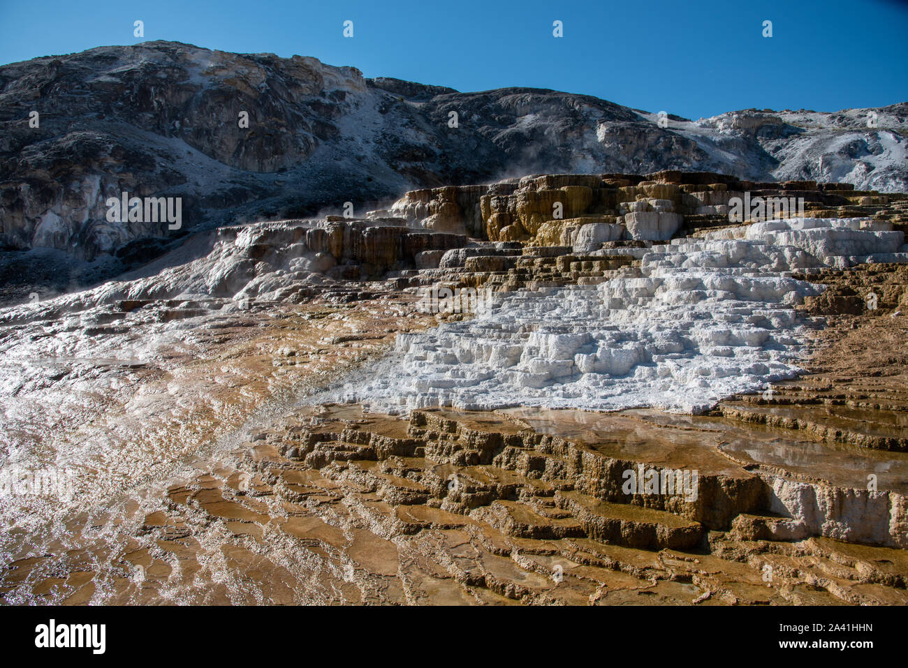 Minerva Terraces at the lower Mammoth Hot Springs in ...
