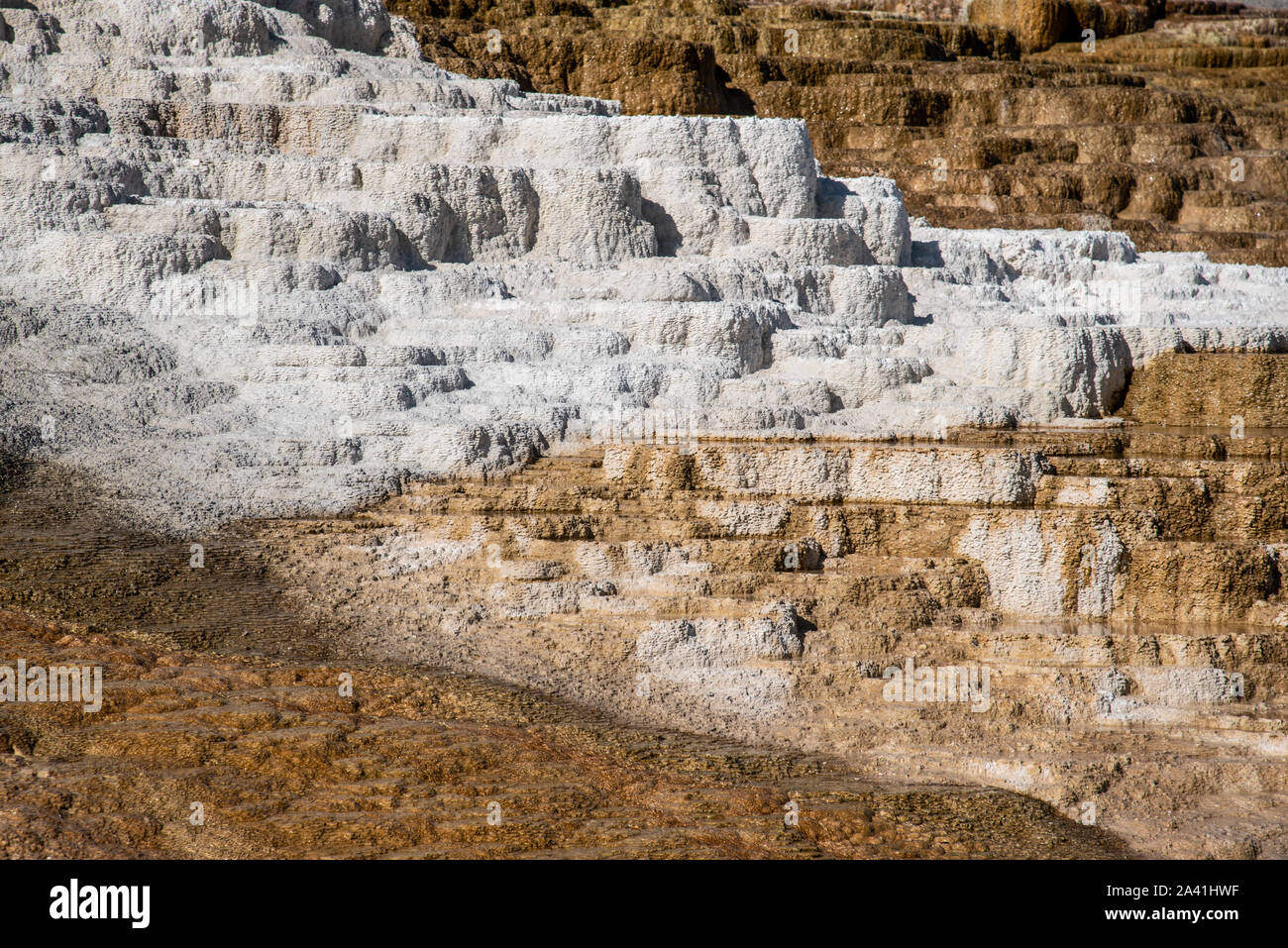 Minerva Terraces at the lower Mammoth Hot Springs in ...