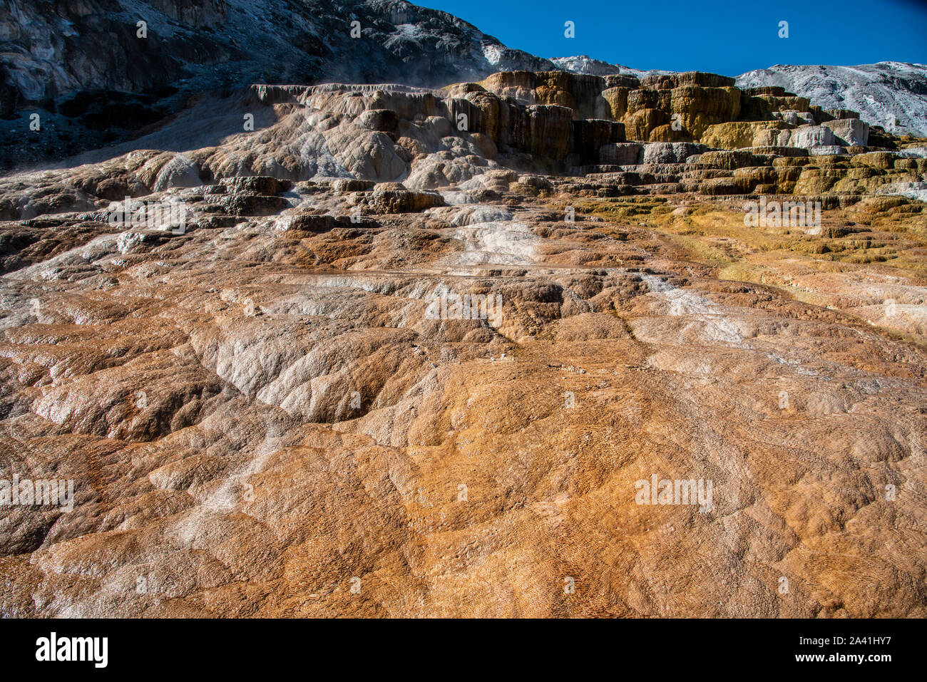 Minerva Terraces at the lower Mammoth Hot Springs in ...