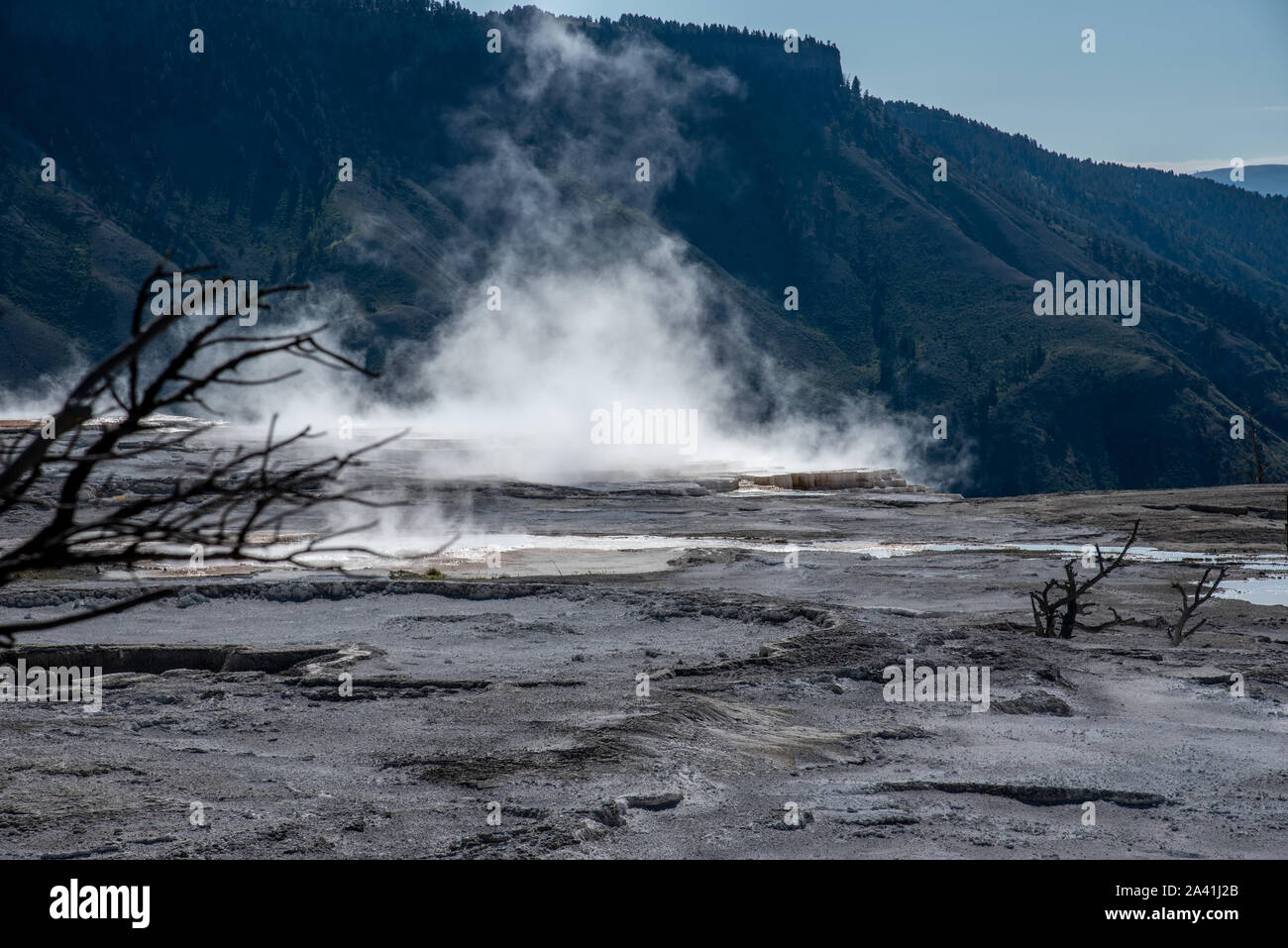 Steaming hot spring in Yellowstone of vivid colors caused by ...