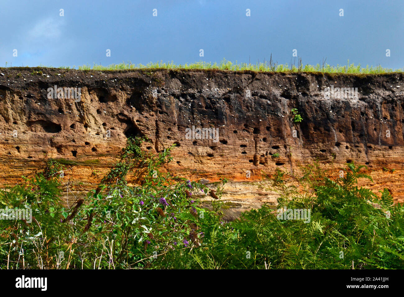 RSPB Minsmere Nature Reserve, Suffolk, UK Stock Photo - Alamy