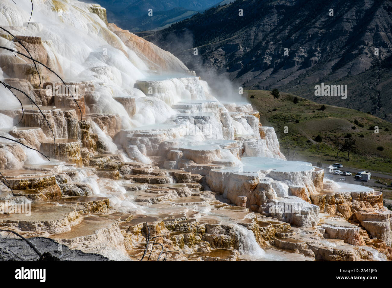 Claopatra Terraces at the lower Mammoth Hot Springs in ...