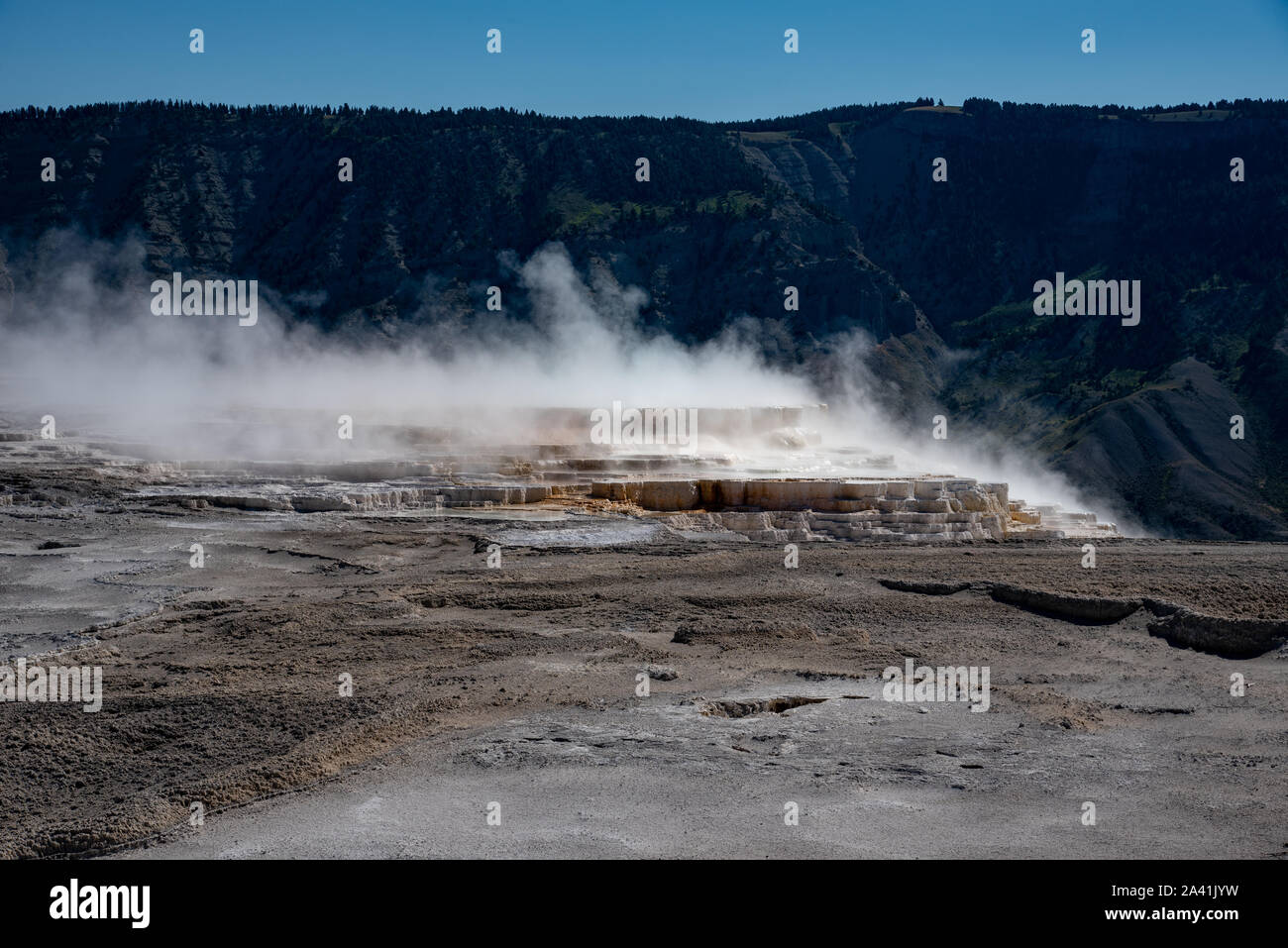 Steaming hot spring in Cleopatra terrace inYellowstone Stock Photo - Alamy