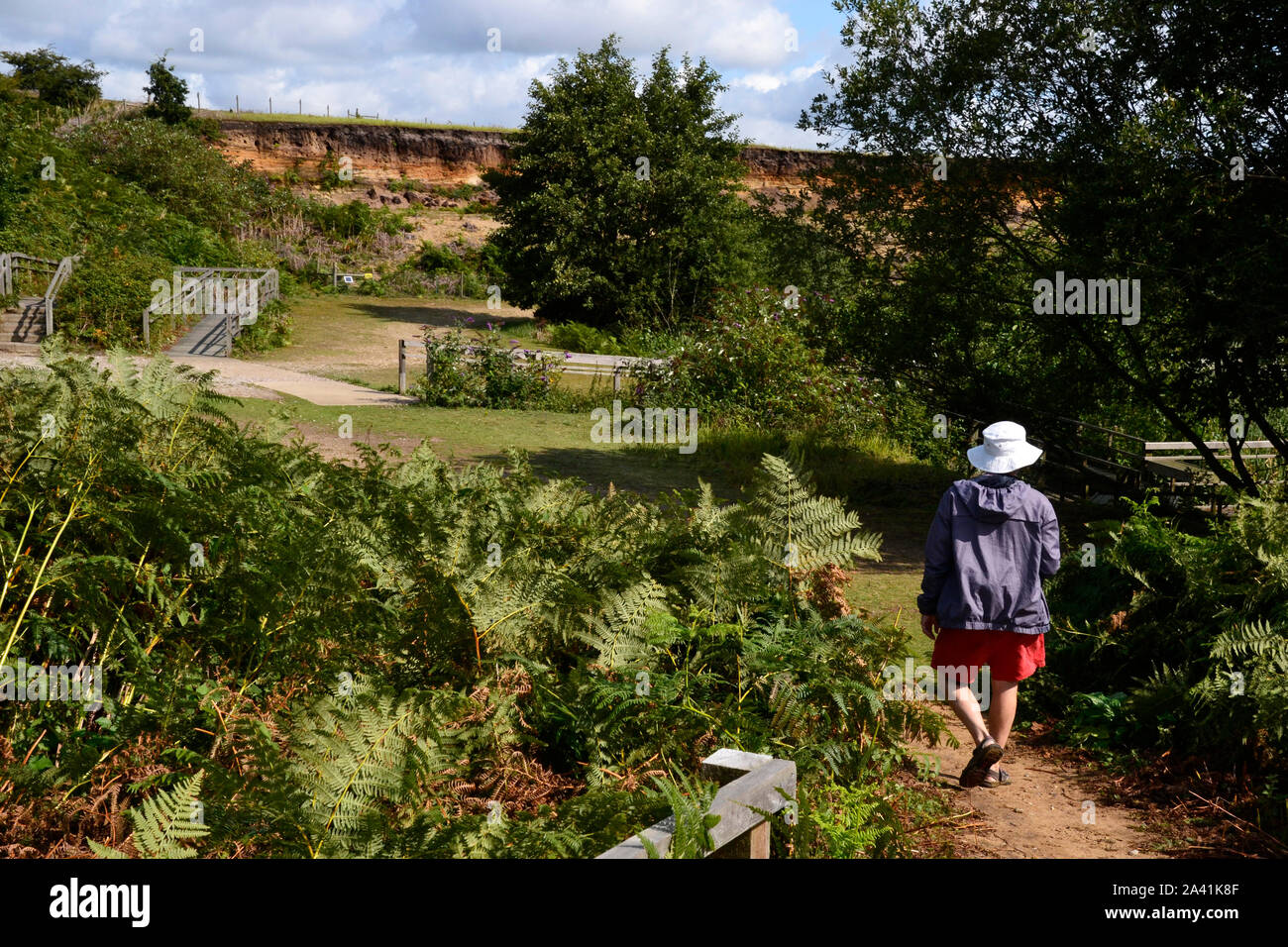 Rspb minsmere landscape hi-res stock photography and images - Alamy