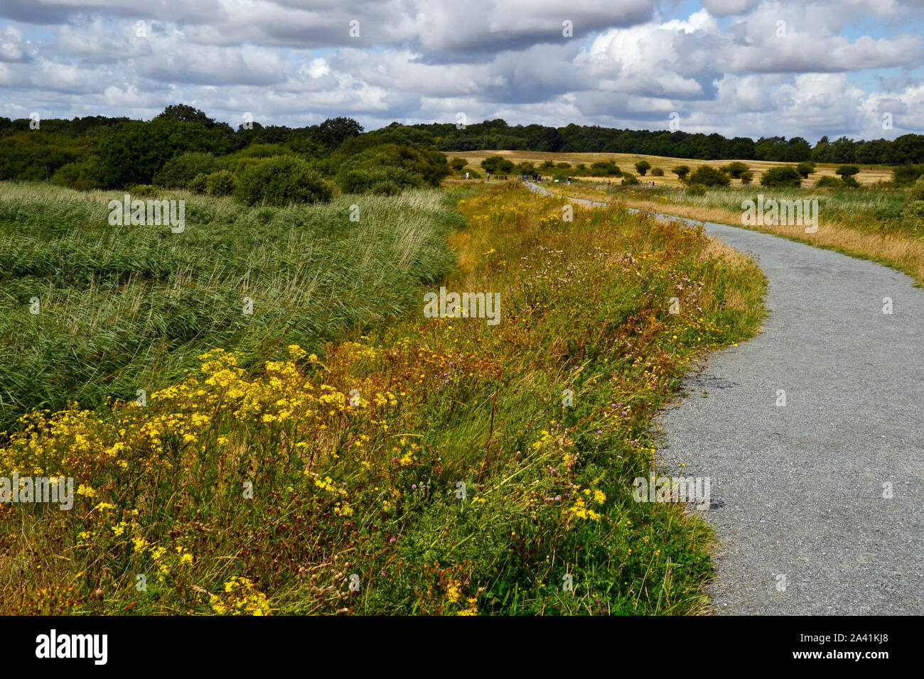 Rspb minsmere landscape hi-res stock photography and images - Alamy