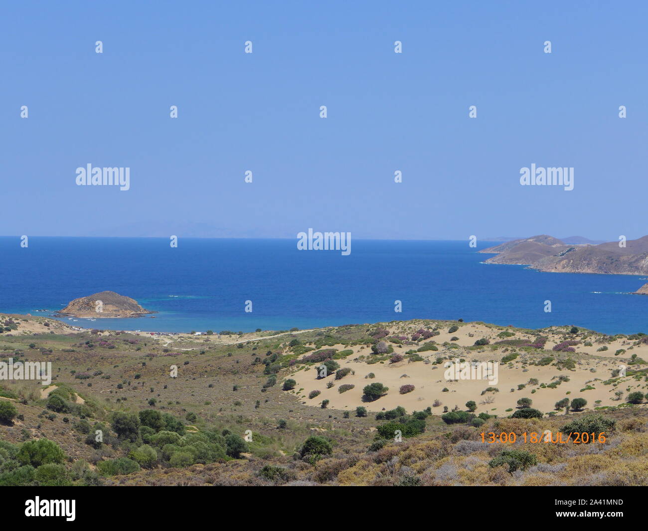 Pictures of desert plants hi-res stock photography and images - Alamy