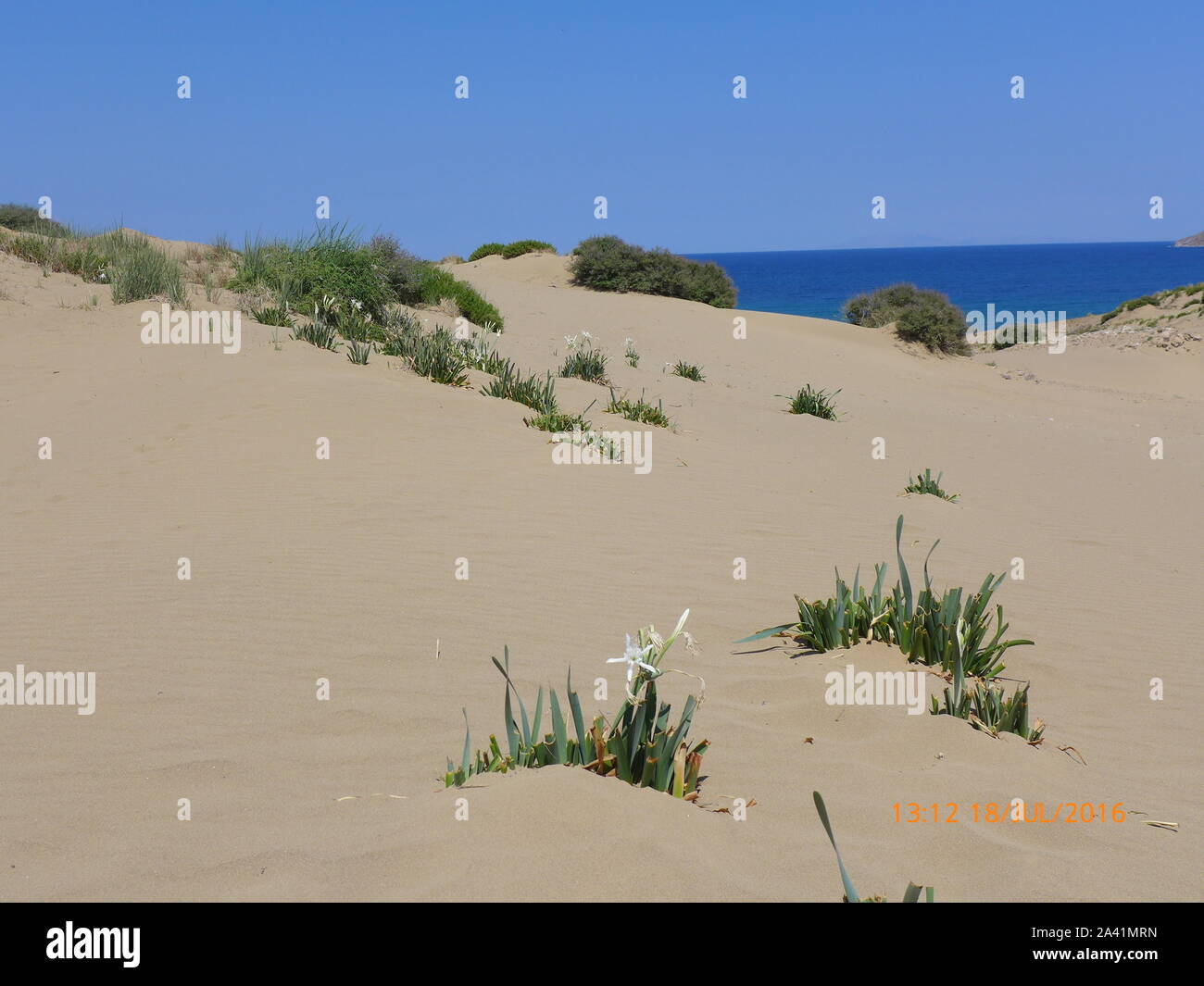 Lemnos hi-res stock photography and images - Alamy