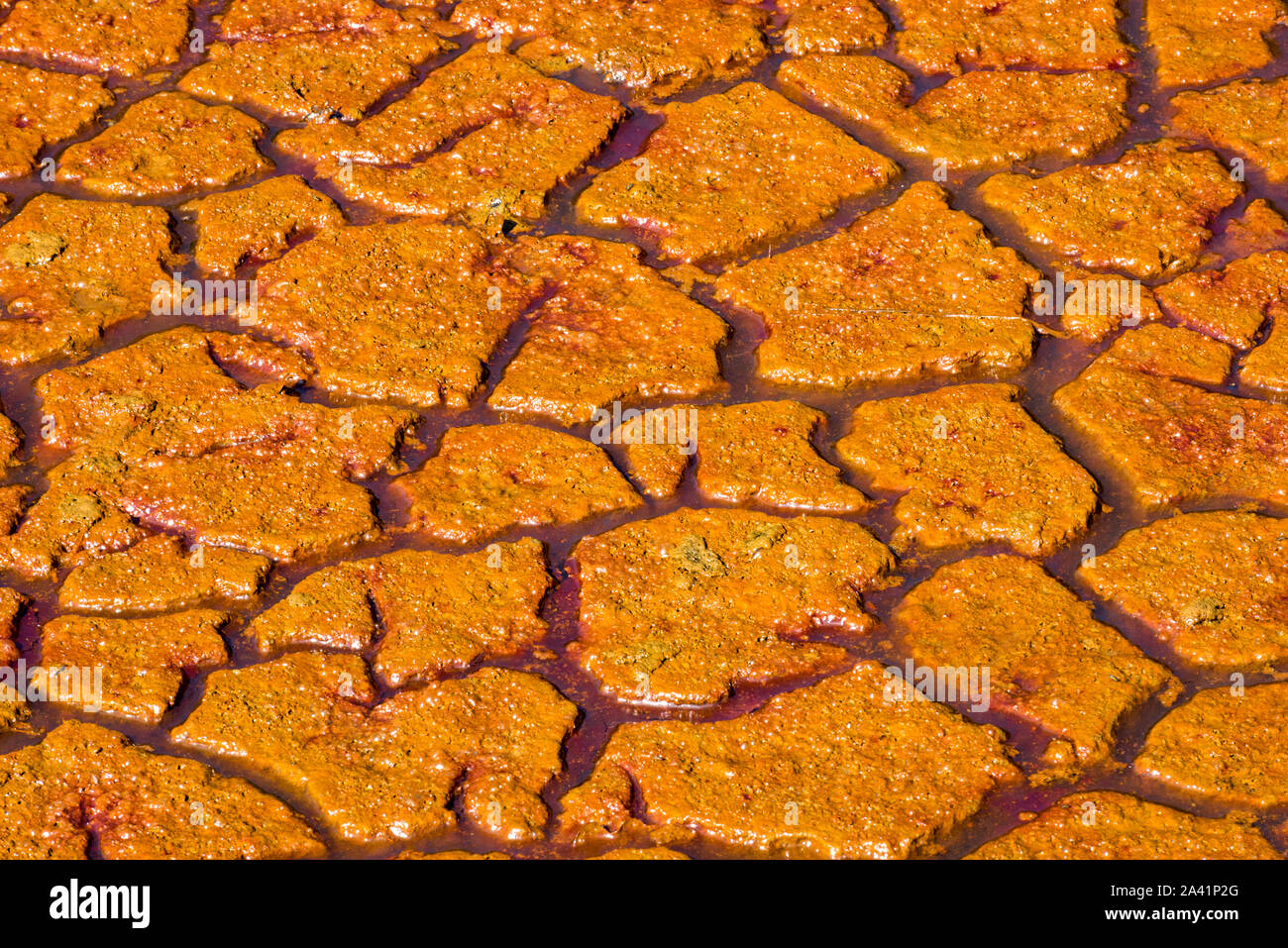 Cracked mud at the bottom of a lake during hot weather and water ...