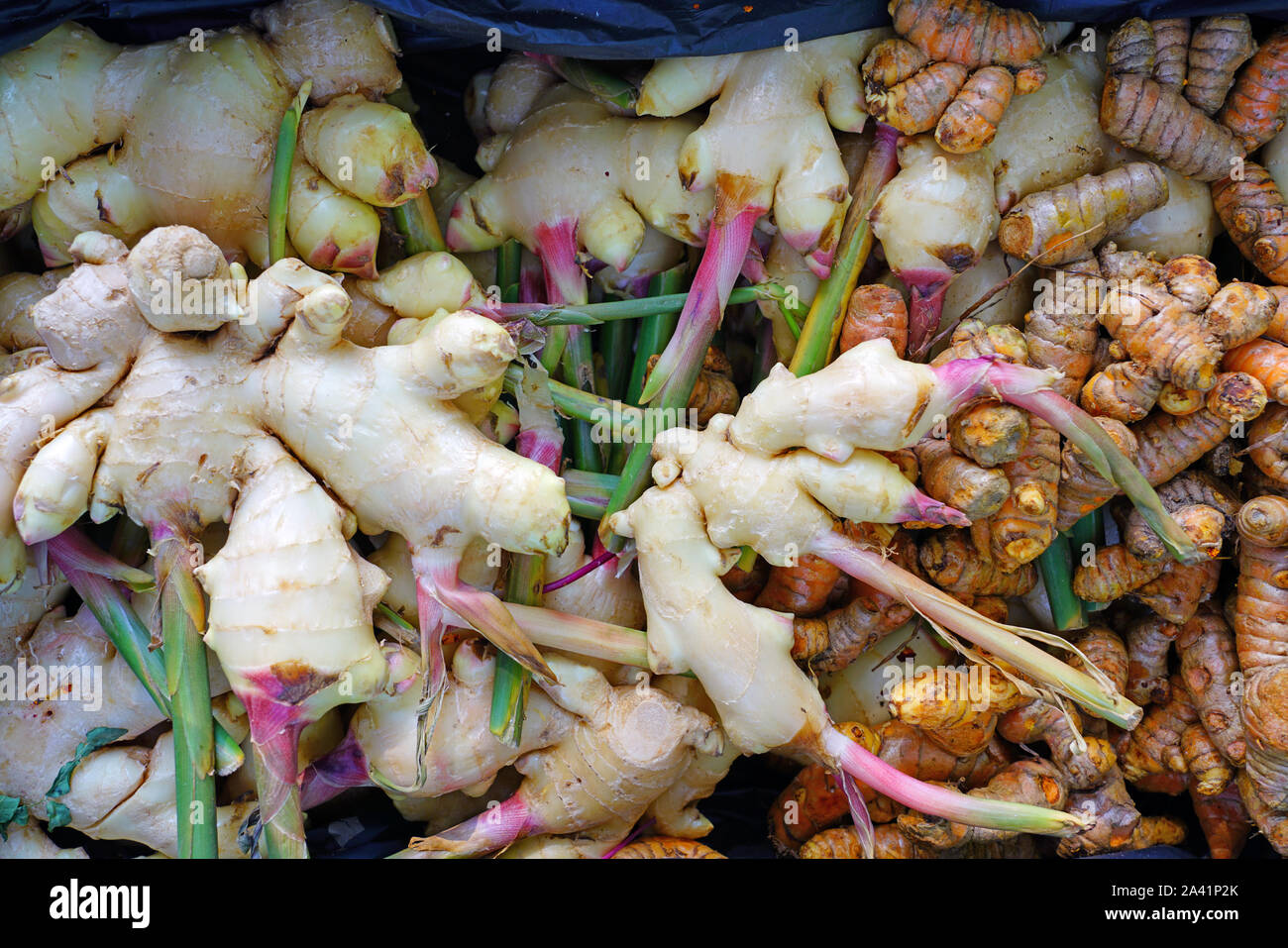 Fresh young ginger roots at an Asian market Stock Photo - Alamy