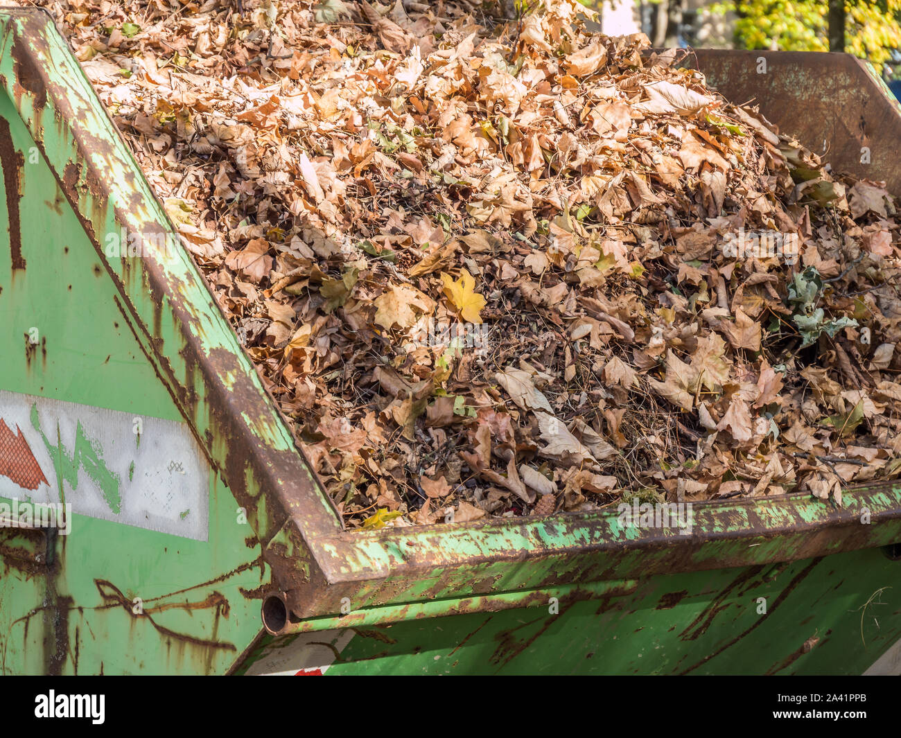 Container with garden waste in the autumn Stock Photo - Alamy