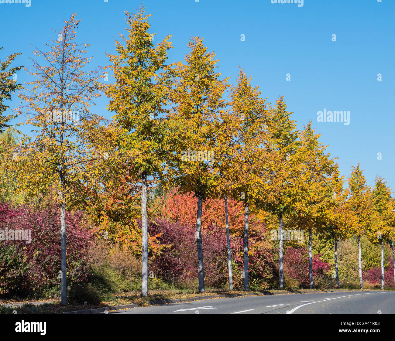 Panoramic street hi-res stock photography and images - Alamy