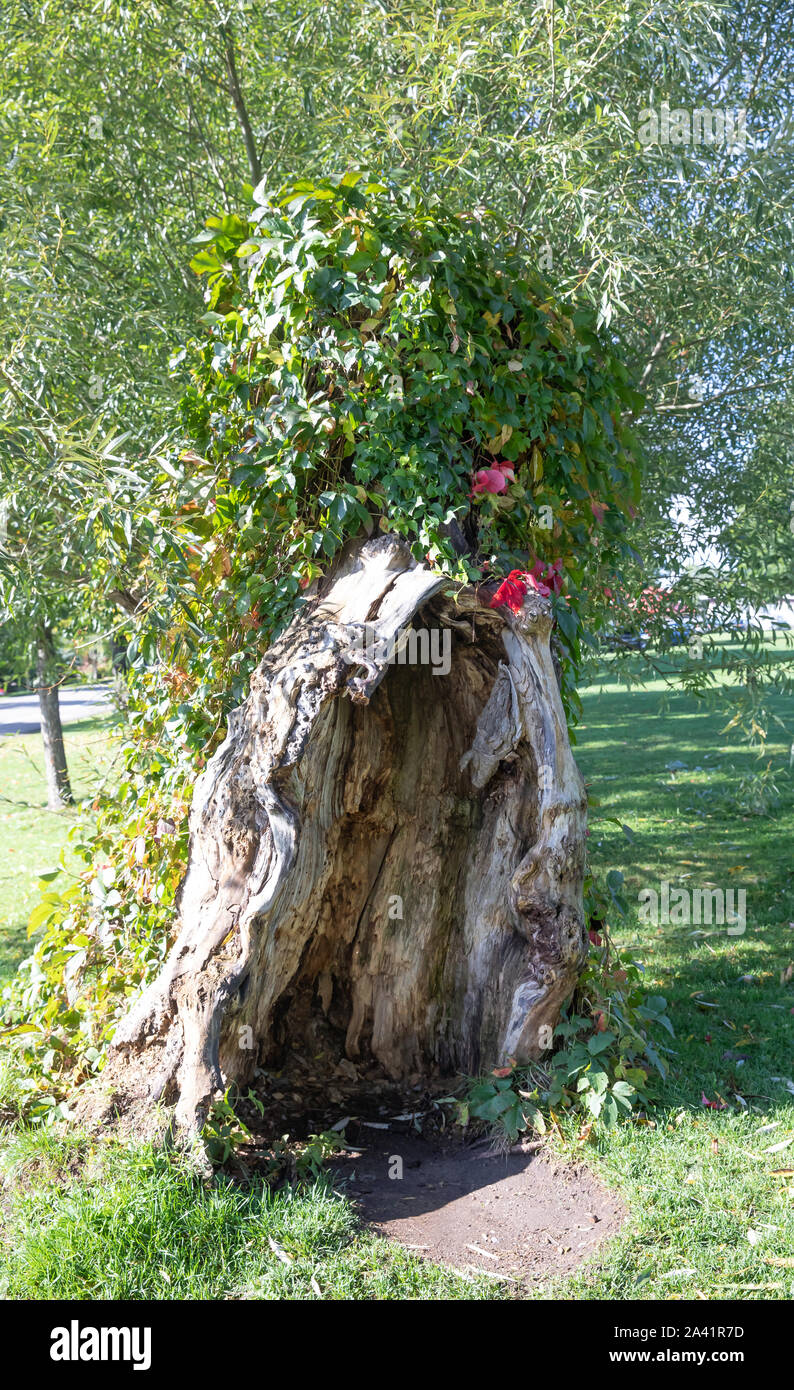 Leaf colours during the Fall in September in Québec, Canada Stock Photo ...