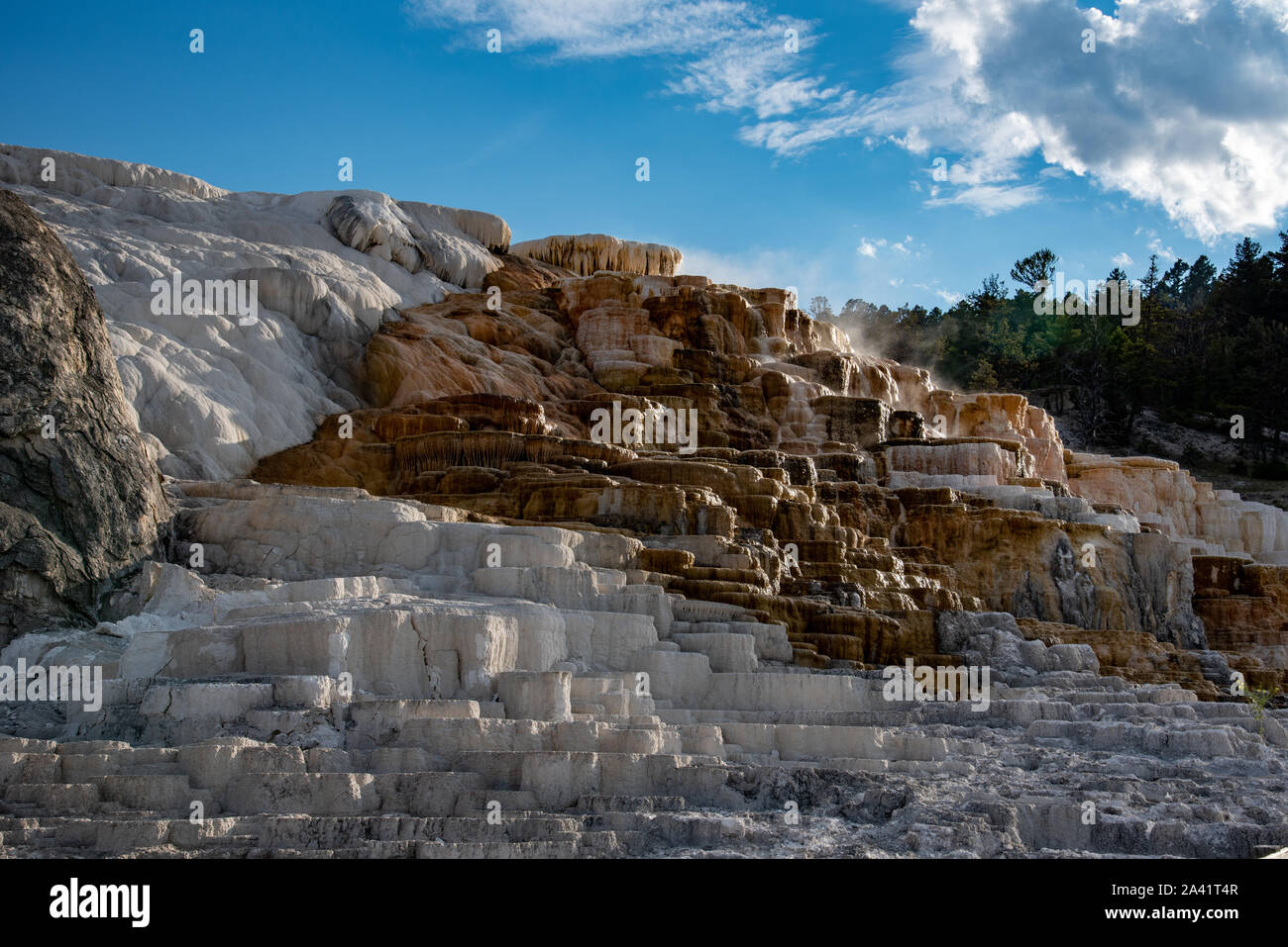 Minerva Terraces at the lower Mammoth Hot Springs in ...