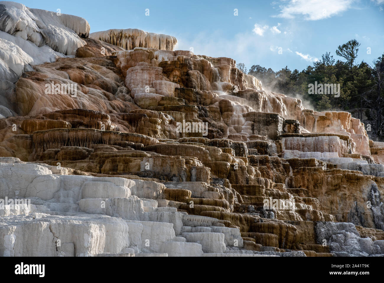 Minerva Terraces at the lower Mammoth Hot Springs in ...