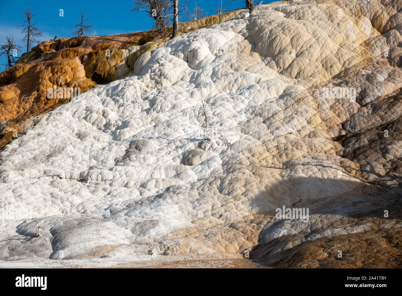 Minerva Terraces at the lower Mammoth Hot Springs in ...