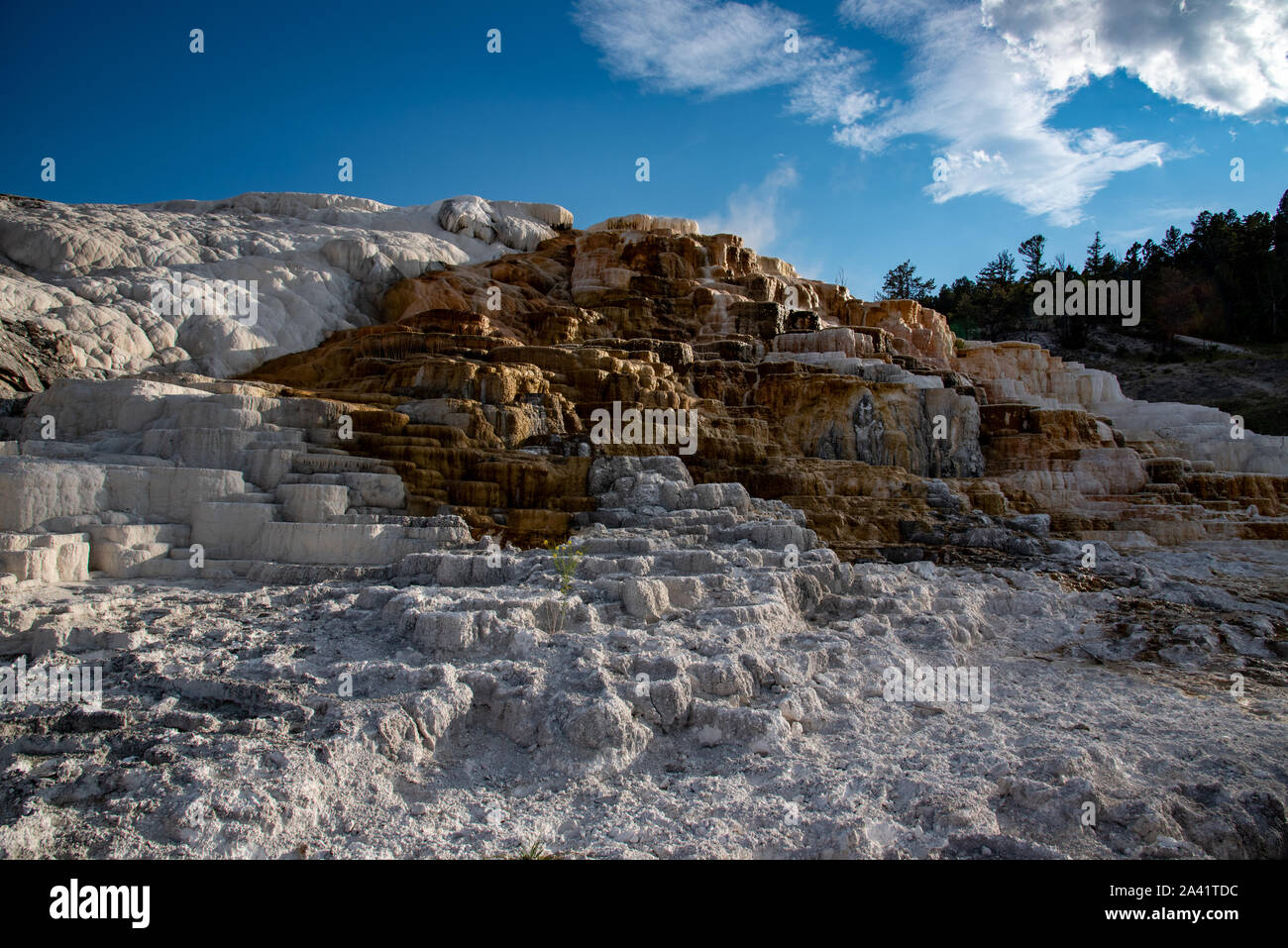 Minerva Terraces at the lower Mammoth Hot Springs in ...