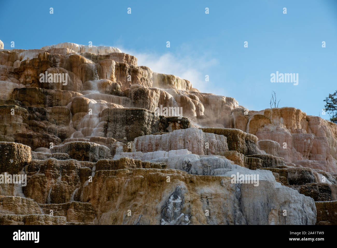 Minerva Terraces at the lower Mammoth Hot Springs in ...