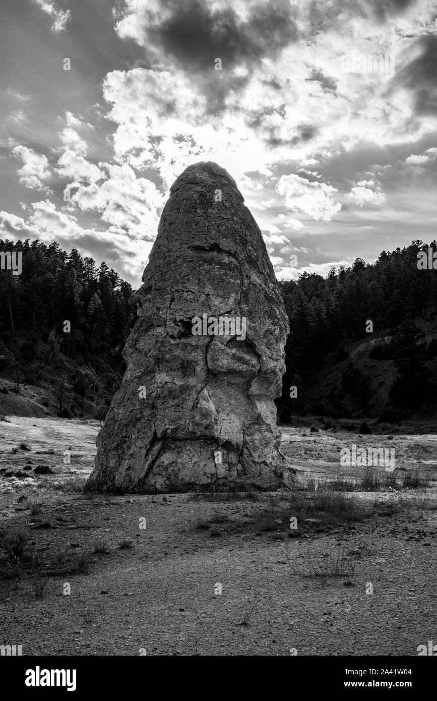 Liberty cap at the lower Mammoth Hot Springs in YellowstoneNational ...