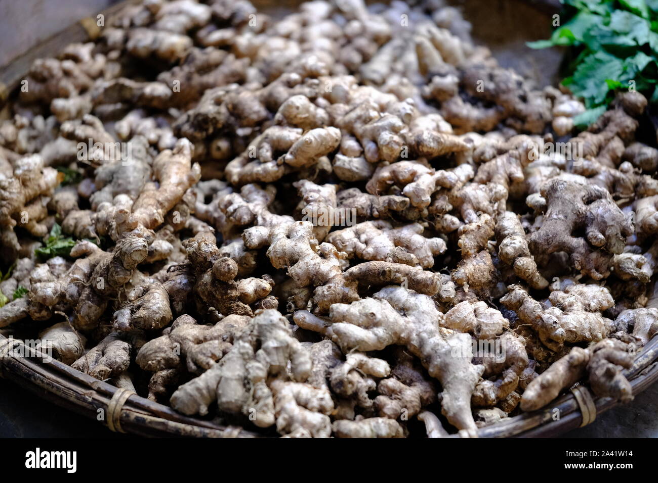 Indonesia Sumba Pasar Inpres Matawai - ginger Stock Photo - Alamy
