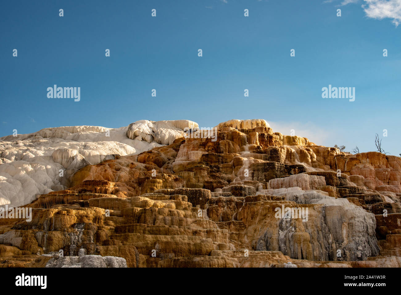 Minerva Terraces at the lower Mammoth Hot Springs in ...