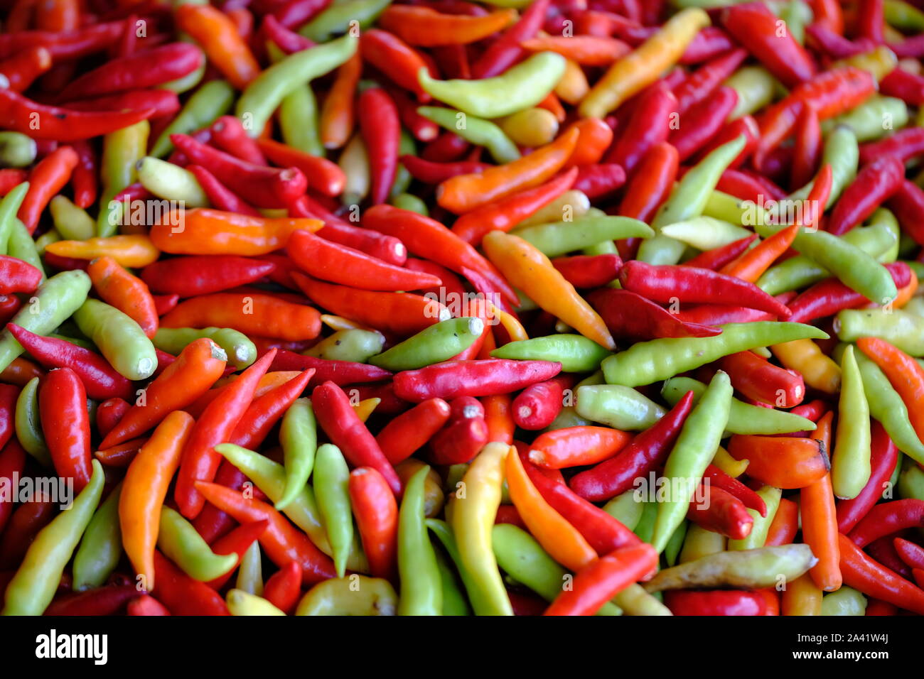 Indonesia Sumba Pasar Inpres Matawai - mixed chili peppers Stock Photo ...