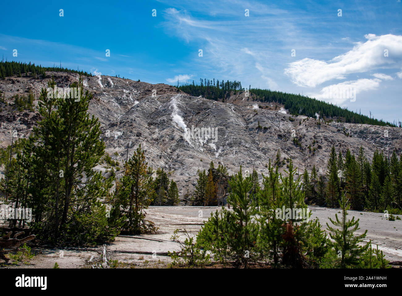 Steaming fumaroles at Roaring mountains in Yellowstone Stock Photo - Alamy