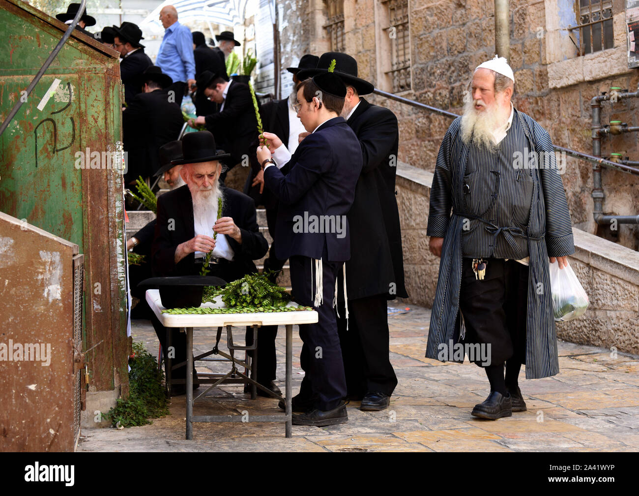 Hadass hi-res stock photography and images - Alamy