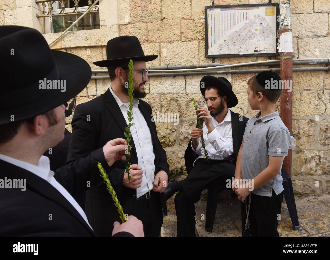 Jerusalem, Israel. 11th Oct, 2019. Ultra-Orthodox Jew examine hadass ...