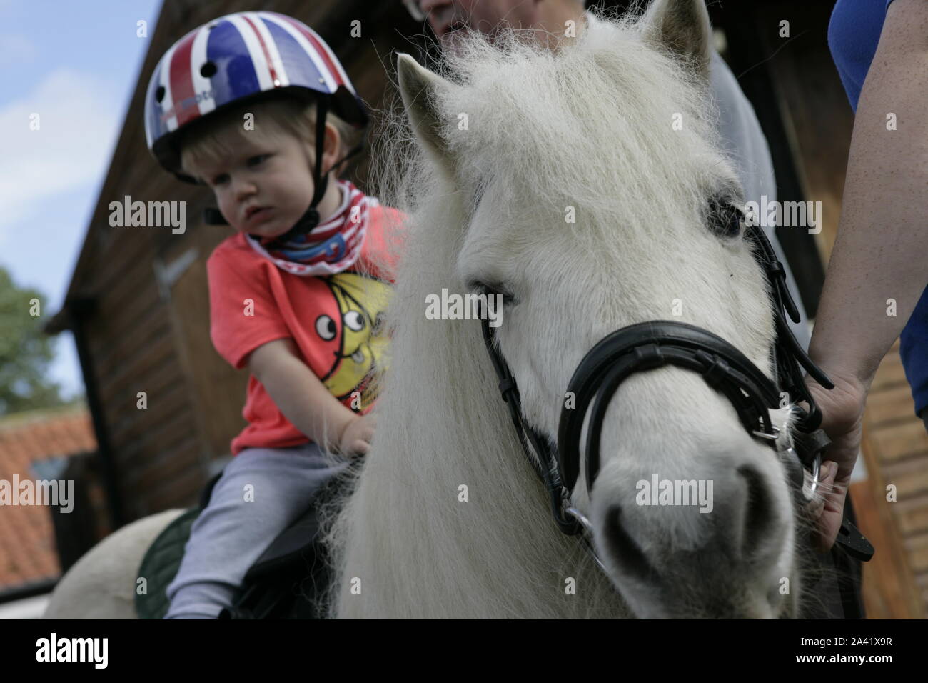 Young Male Toddler Child Having Horse Riding Lesson Stock Photo - Alamy