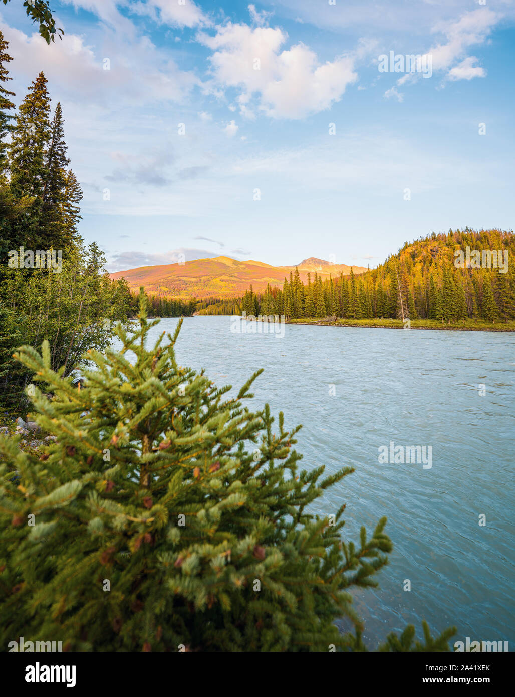 Autumn landscape in the Canadian Rockies Stock Photo - Alamy