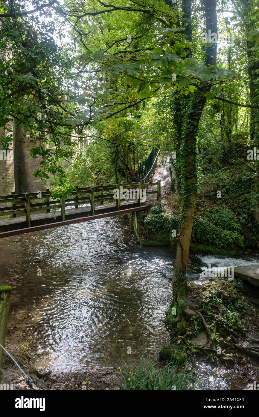 River frome hi-res stock photography and images - Alamy